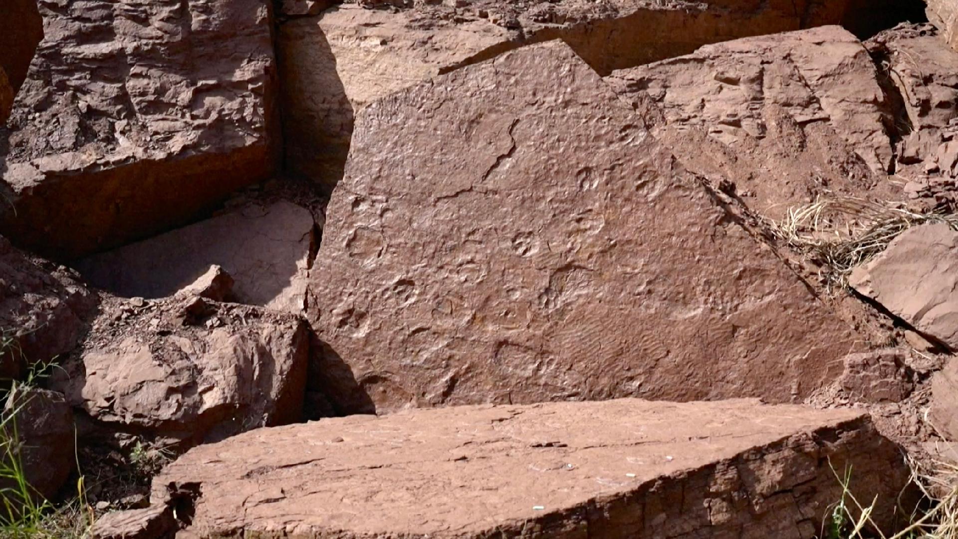 Chinese paleontologists find rare dinosaur footprint fossils - CGTN