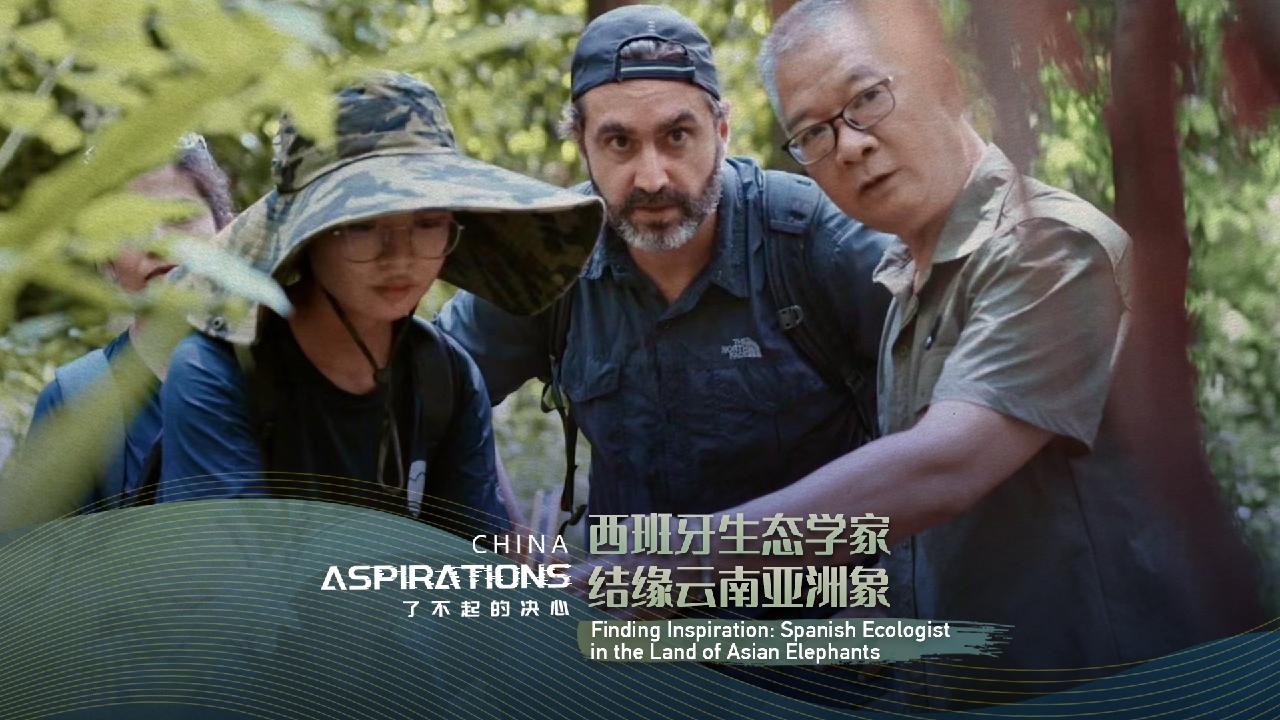 Finding inspiration: Spanish ecologist in the land of Asian elephants - CGTN
