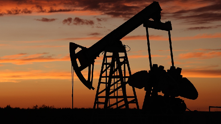 Expert: Russia's decision critical to how EU copes with energy crisis ...