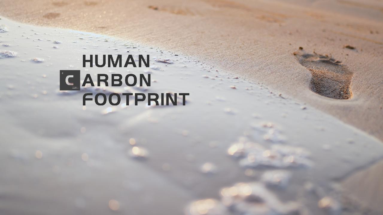 CGTN documentary 'Human Carbon Footprint' looks at sustainable future ...