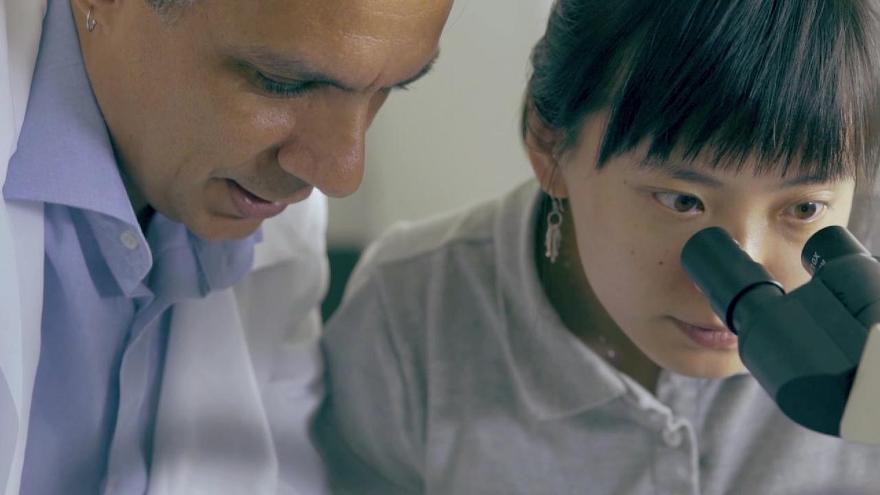 Golden mussels: Small but powerful threat - CGTN