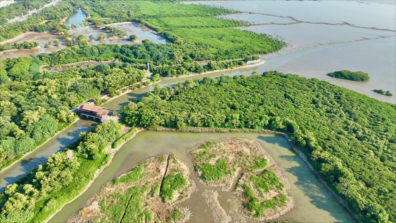 UN honors China's ambitious ecosystems restoration project - CGTN