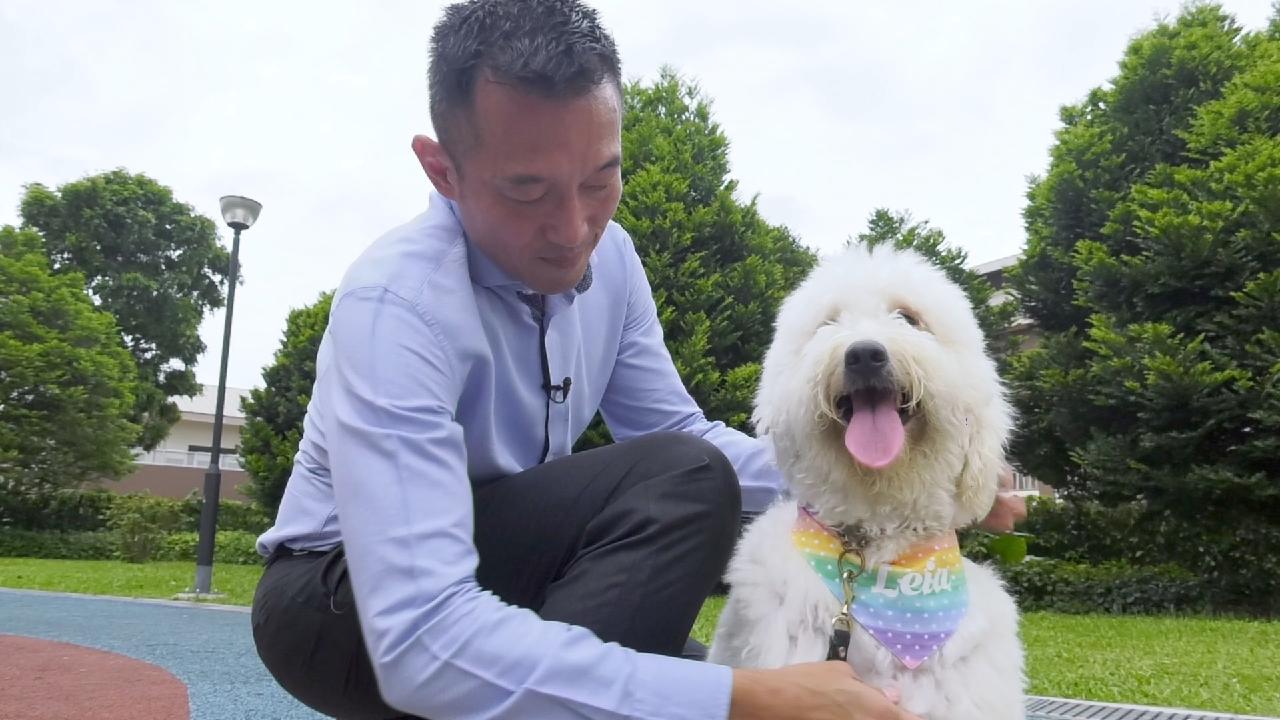 The rise of pet 'parents' - CGTN