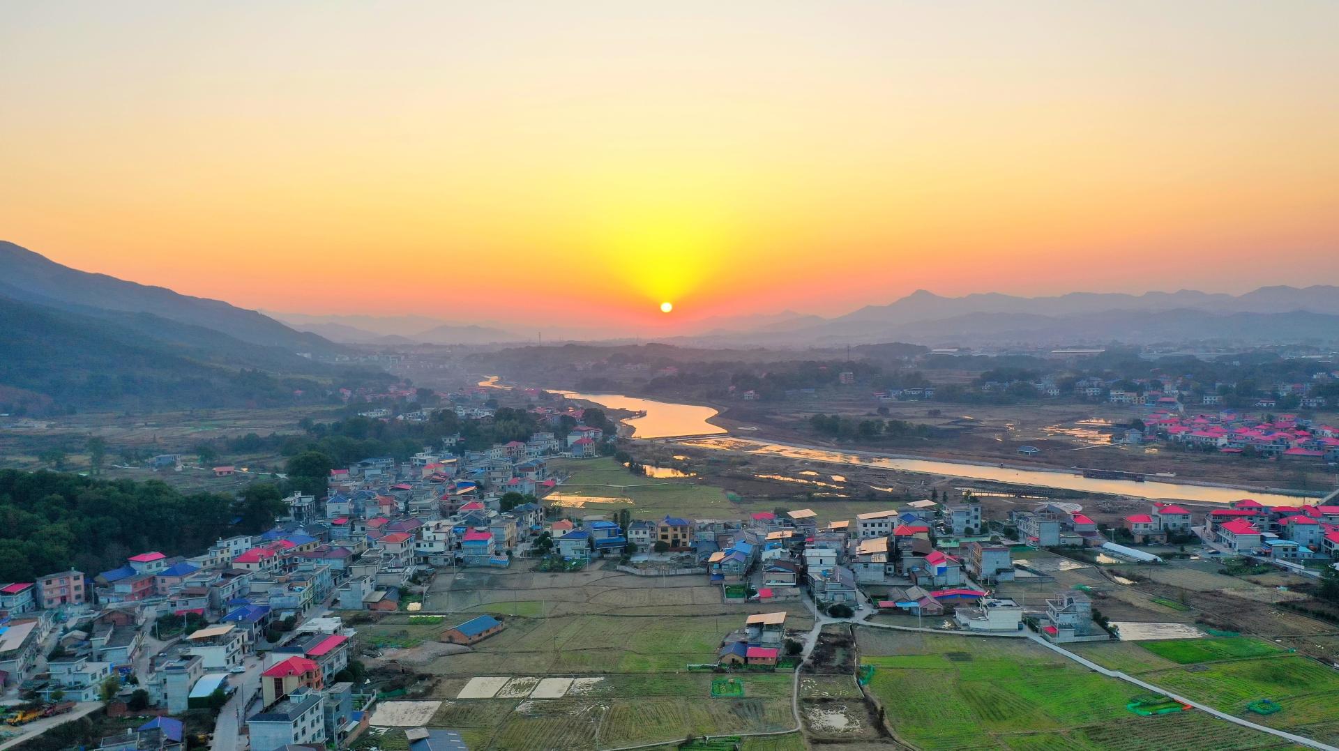 More agricultural knowledge is key for China's rural modernization - CGTN