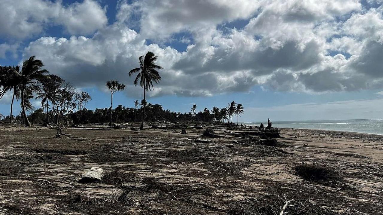 One year after volcanic blast in Tonga, many reefs lay silent - CGTN
