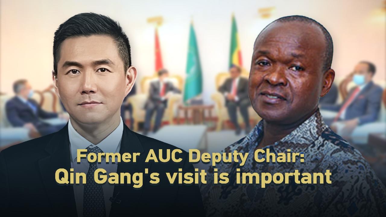 Former AUC Deputy Chair: Qin Gang's visit is important - CGTN