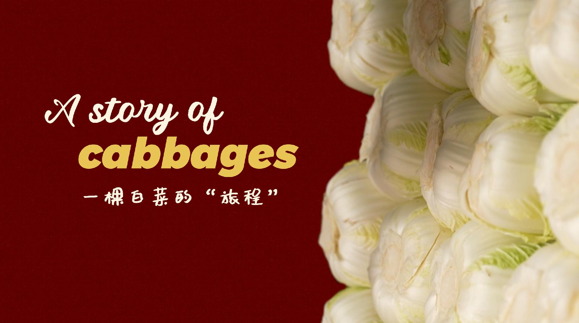 A story of cabbages – how Beijing was revived in a month - CGTN