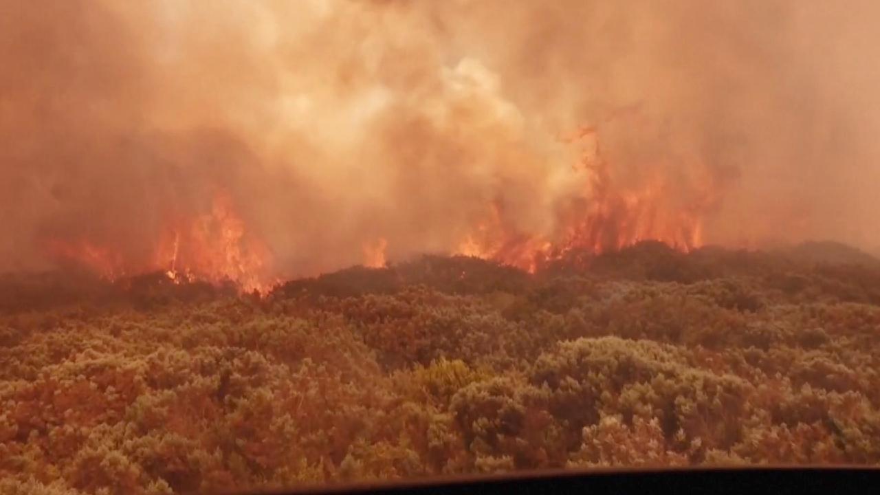 Two Kenyan firefighters die while battling forest blaze - CGTN