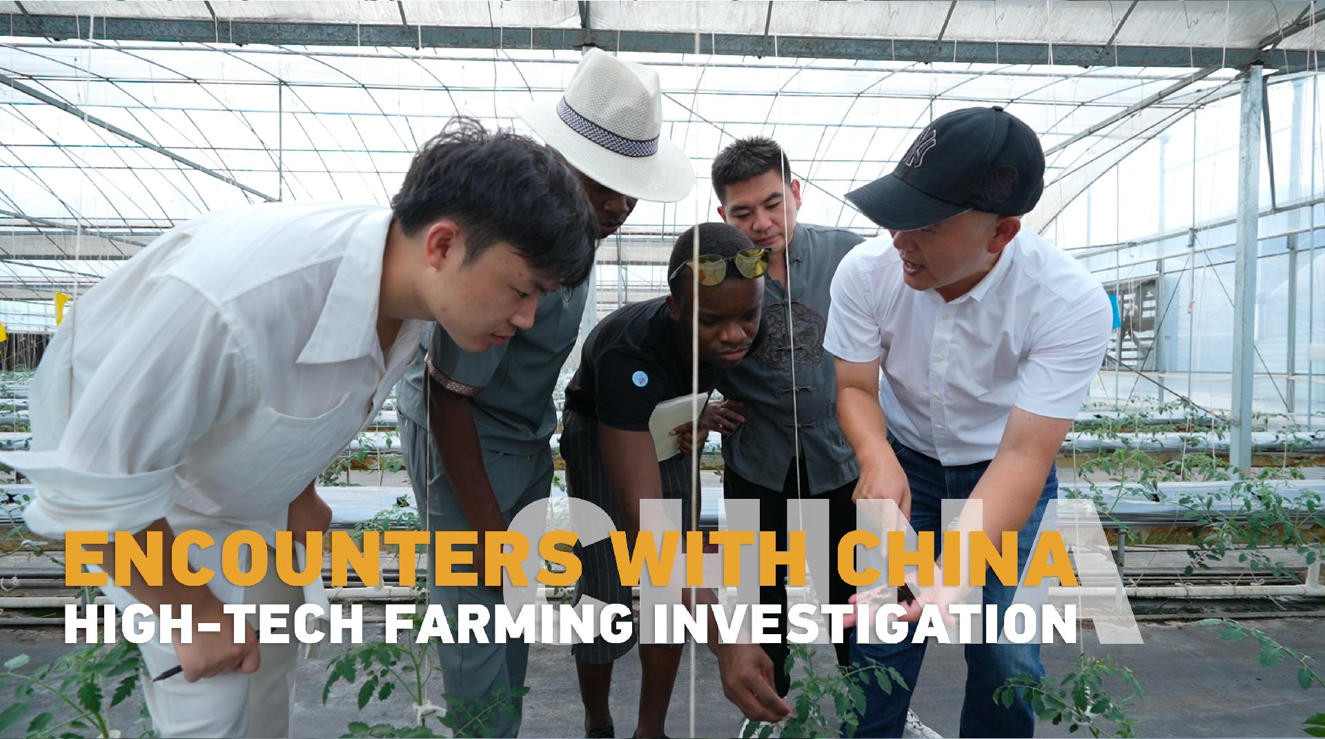 Encounters with China: High-tech Farming Investigation - CGTN