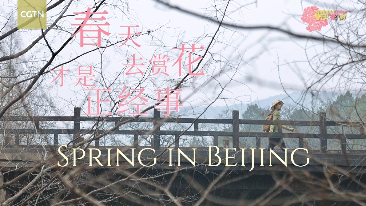 Vlog: Spring in Beijing - CGTN