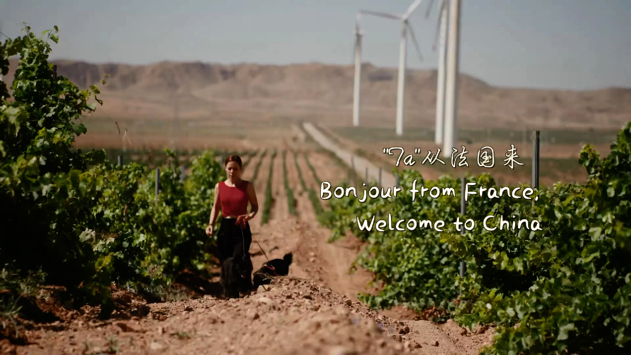 In pursuit of fine wine, French woman makes Ningxia her home - CGTN