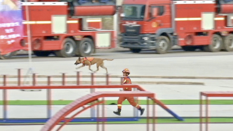Rescue dog and firefighters complete skills challenge expeditiously - CGTN