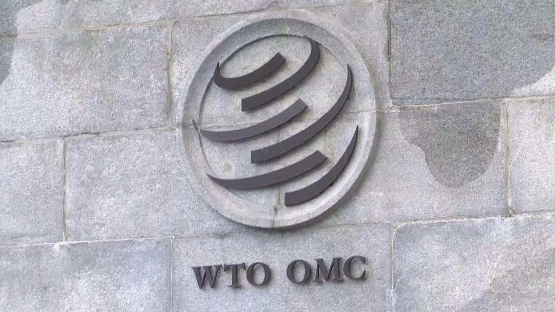 WTO: China's contribution vital to recovery of developing economies - CGTN
