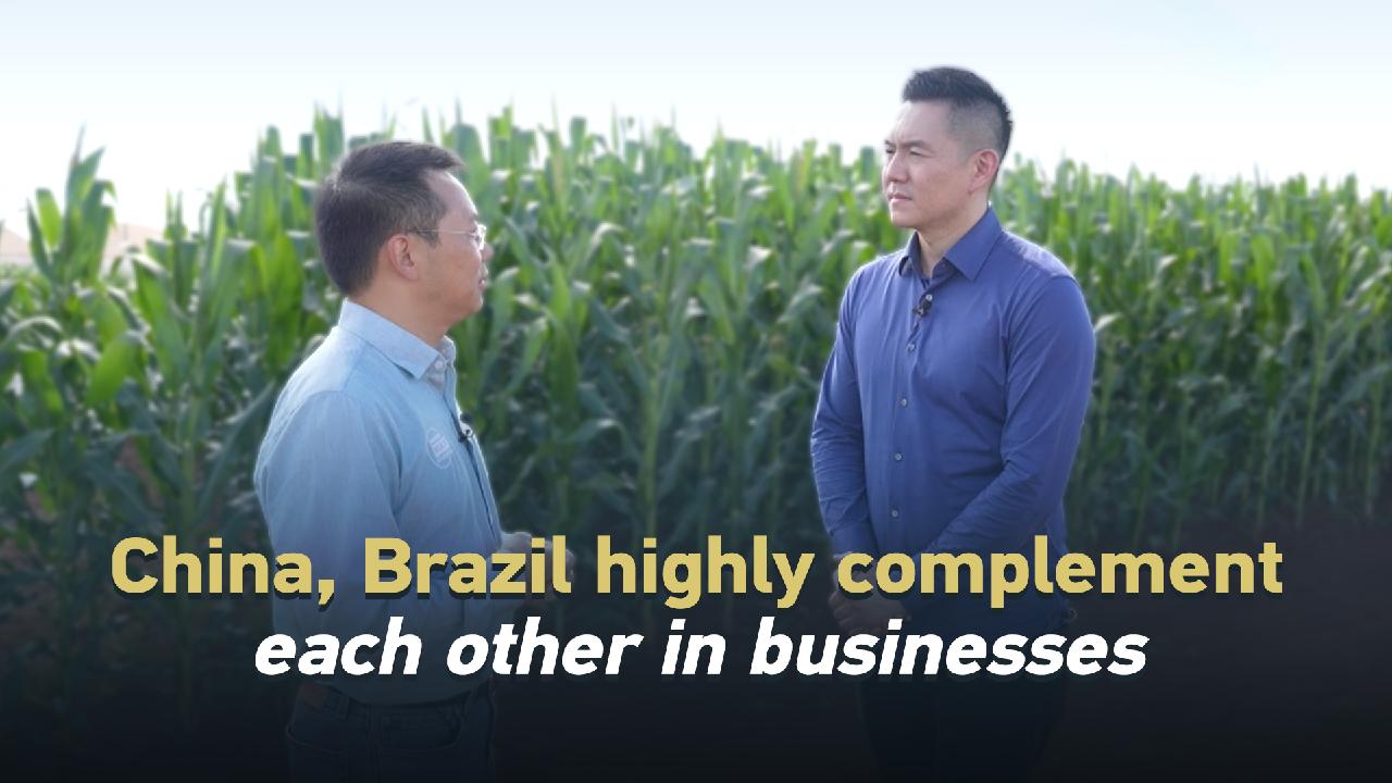 China, Brazil highly complement each other in businesses - CGTN