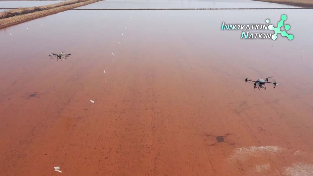Drone Seeding Technology Helps Rice Planting In Aksu Xinjiang Cgtn
