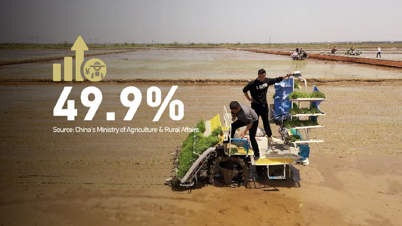 China's rural vitalization strategy lifts farmers' income by 49.9% - CGTN