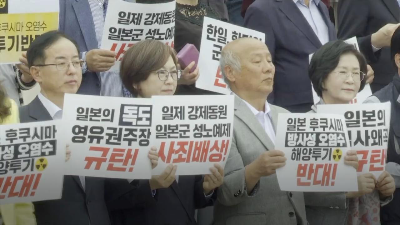 ROK groups rally to protest Japanese PM's upcoming visit - CGTN