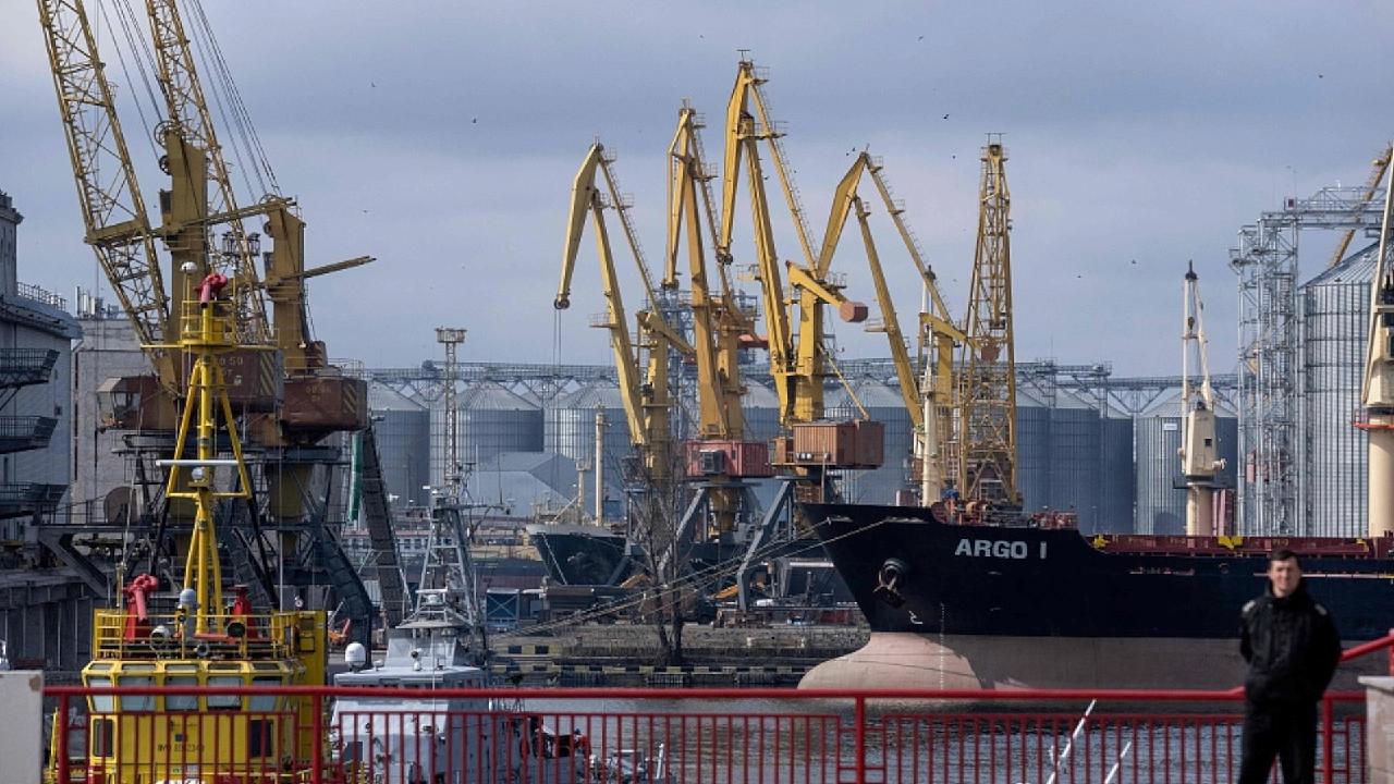 Black Sea grain deal: No new ships authorized on Friday - CGTN