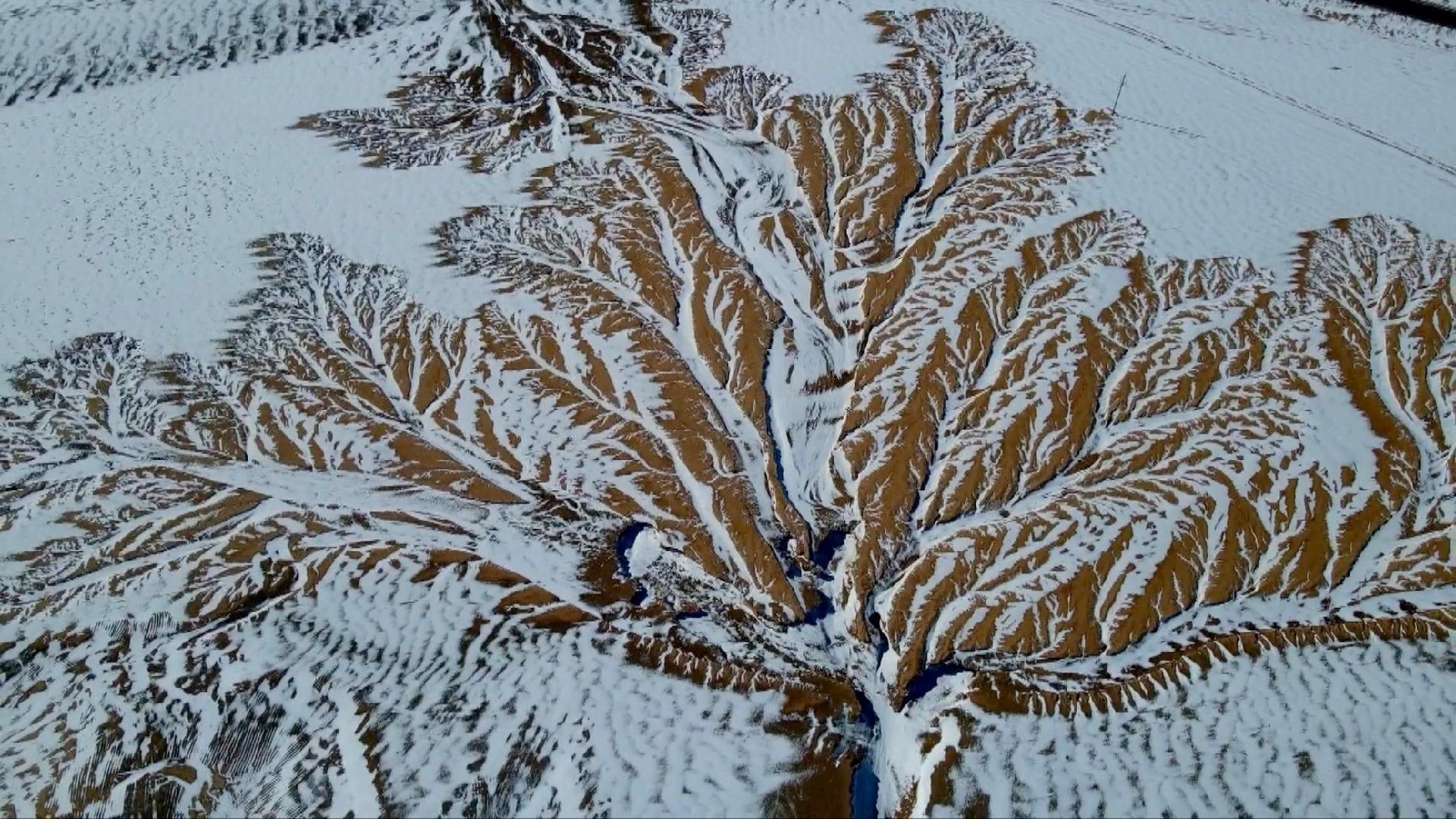 The incredible tree-shaped snow landscape in SW China - CGTN