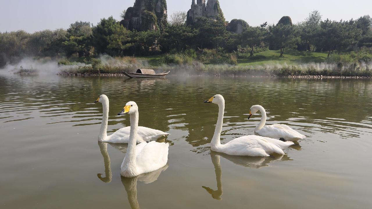 Journey to the wild world - CGTN