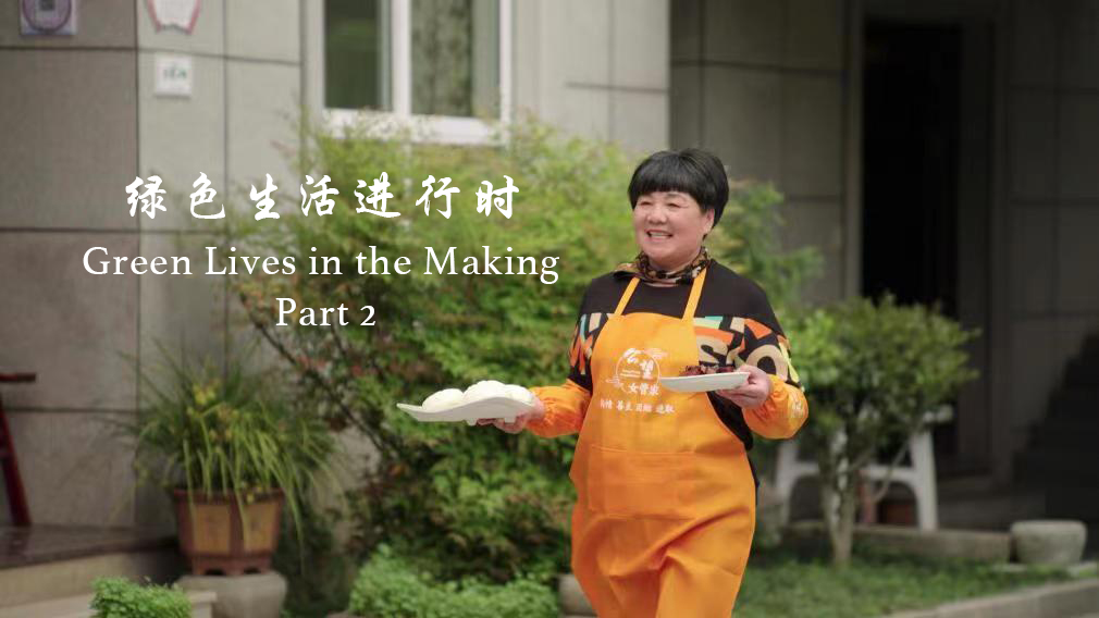 Guesthouses on the Fuchun River bring prosperity to local residents - CGTN