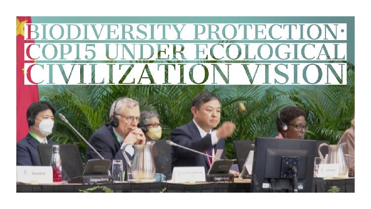 Historic COP15 agreement reached under ecological civilization vision ...