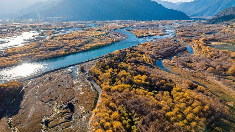 Ecology professor dedicates 30-year career to biodiversity protection ...