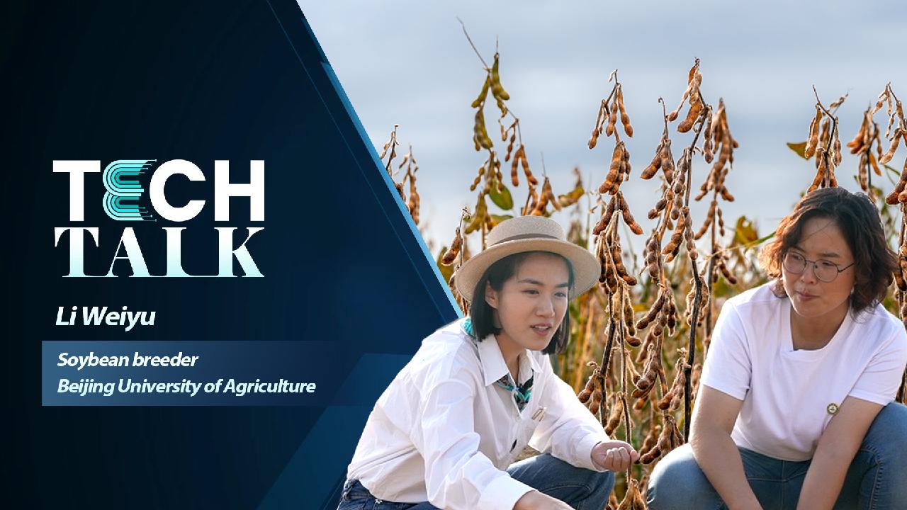 Tech Talk: She-power in soybean breeding - CGTN
