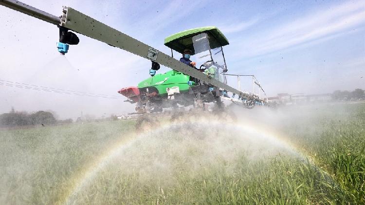 Mechanization boosts rice harvest in South China’s Hainan - CGTN