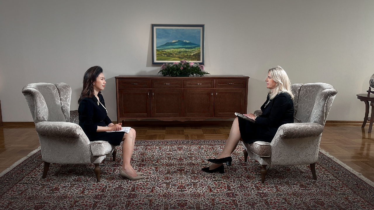 China's development path worth learning for BiH: Presidency chair - CGTN