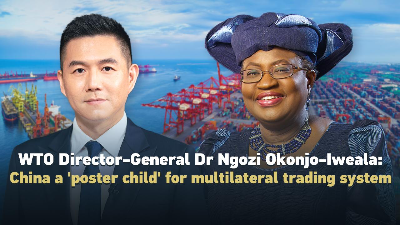China a 'poster child' for multilateral trading system - CGTN