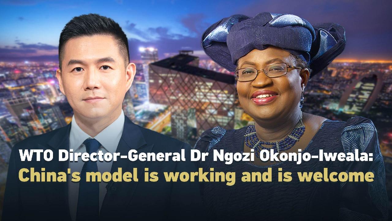 WTO Director-General: China's model is working and is welcome - CGTN