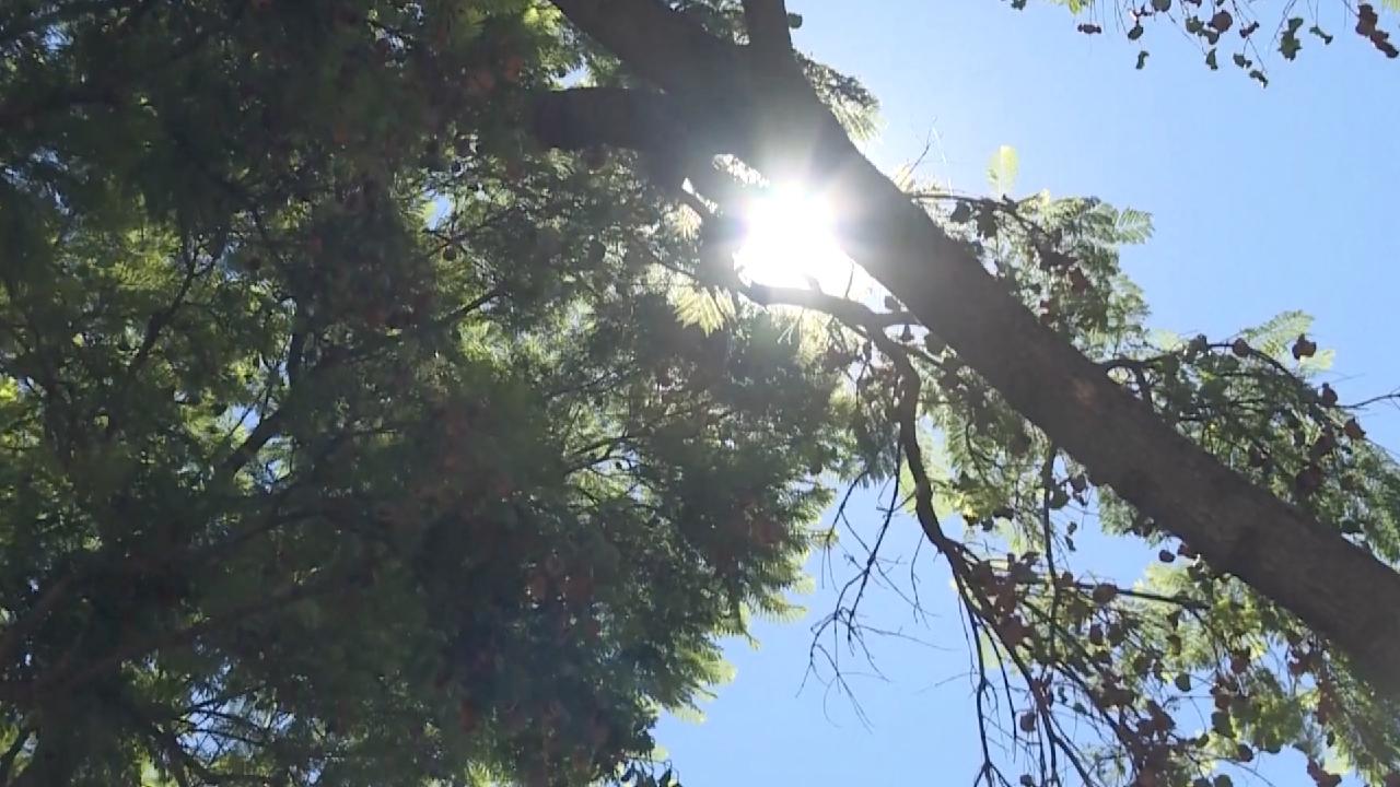 Global Average Temperature Hits 3 Record Highs In 4 Days Cgtn