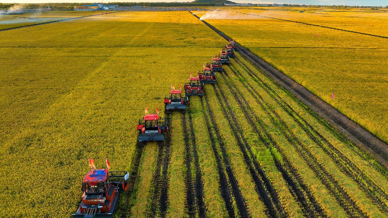 Expert: Red line of arable land is a response to food security concerns ...