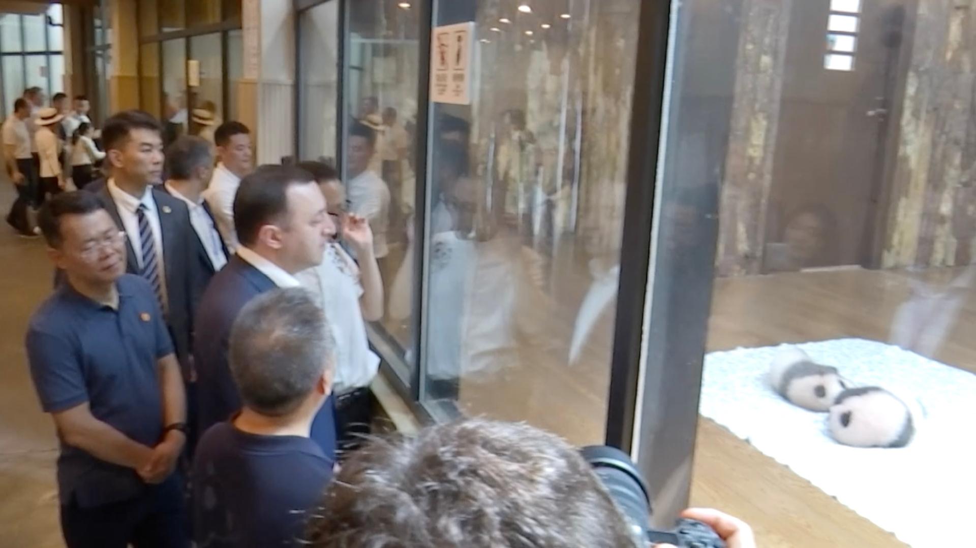 Georgian PM visits Chengdu Research Base of Giant Panda Breeding - CGTN