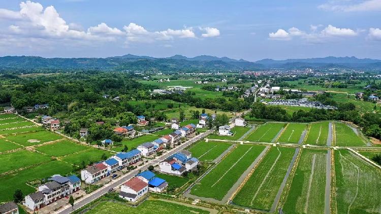Expert: Sichuan has high-quality agriculture for rural revitalization ...