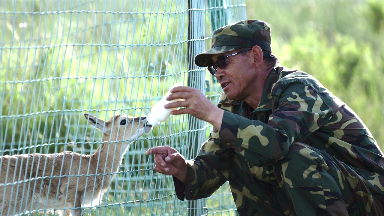 Super Nanny Series | Episode 6: Give it a home - CGTN