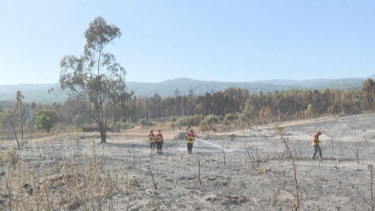 Wildfire ravages over 7,000 hectares in Portugal - CGTN