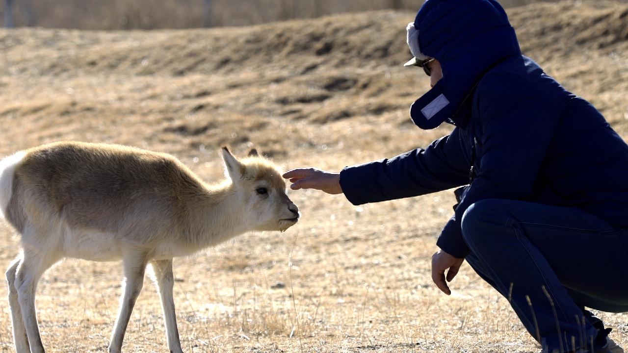 Super Nanny Series | Episode 10: Nanny's wish - CGTN