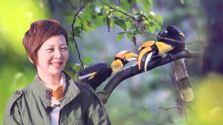 Hornbill, my friend! - CGTN