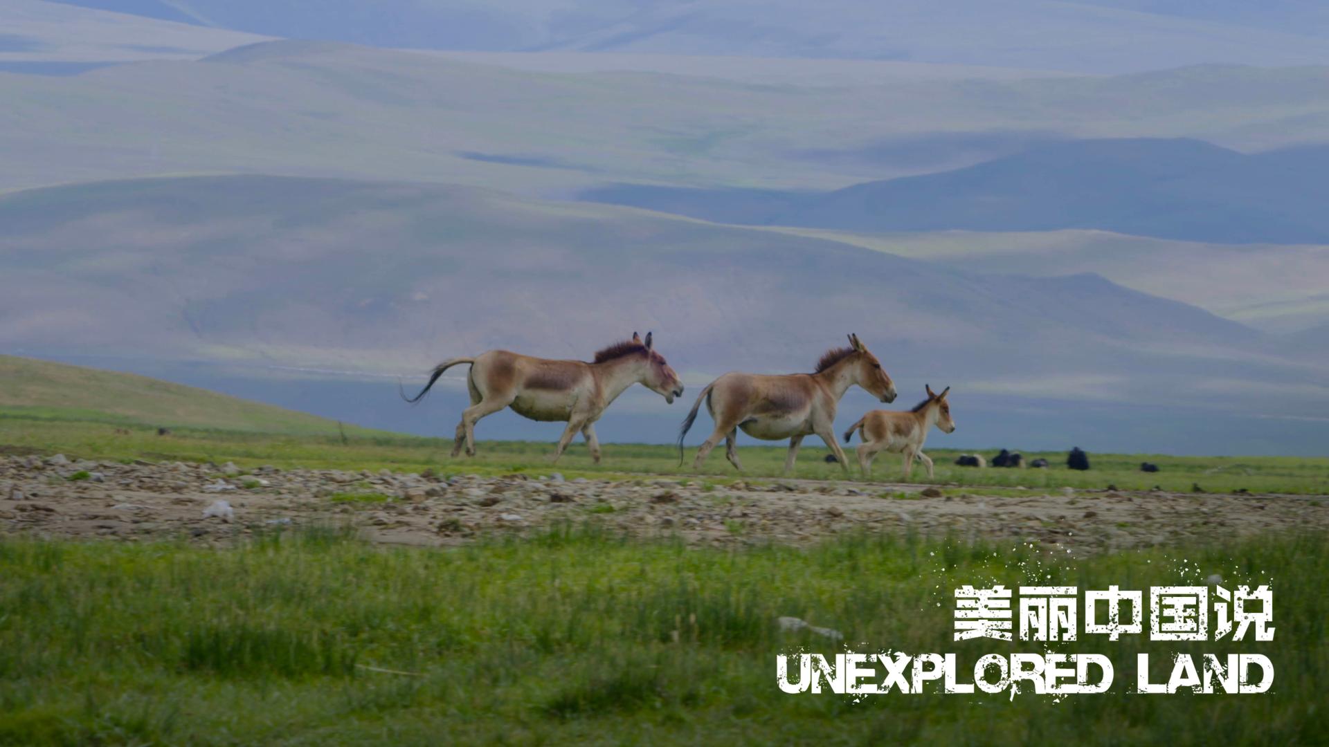 Unexplored Land Ep. 4: The harmony in competition - CGTN