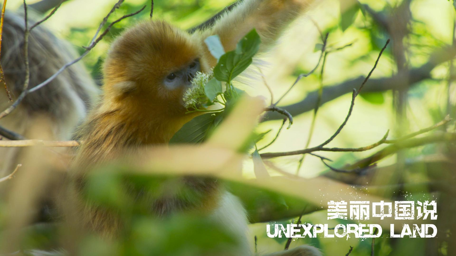 Unexplored Land Ep. 7: Together, we grow old - CGTN