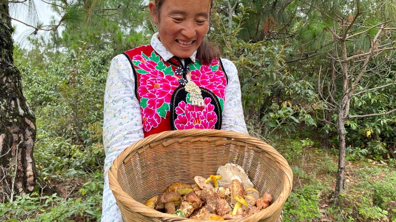 Wild mushrooms provide rural foragers in SW China with crucial source ...