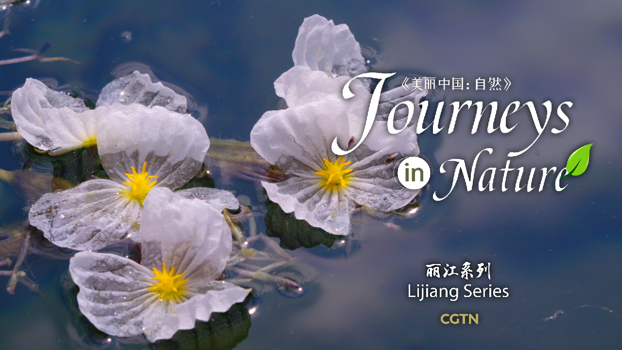 Lijiang Series Ep. 6: Lugu lake - CGTN