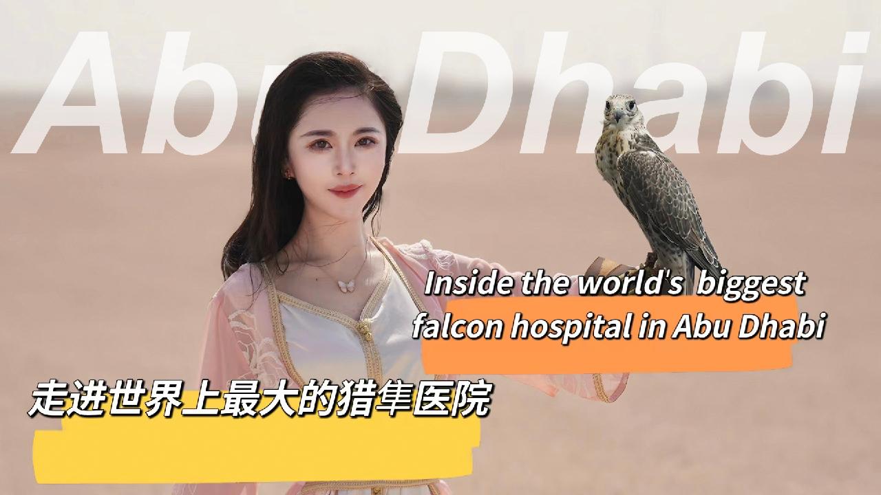 Inside the world's biggest falcon hospital in Abu Dhabi - CGTN