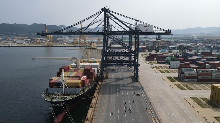 Expert: Talent and tax policies needed to revitalize China's northeast ...