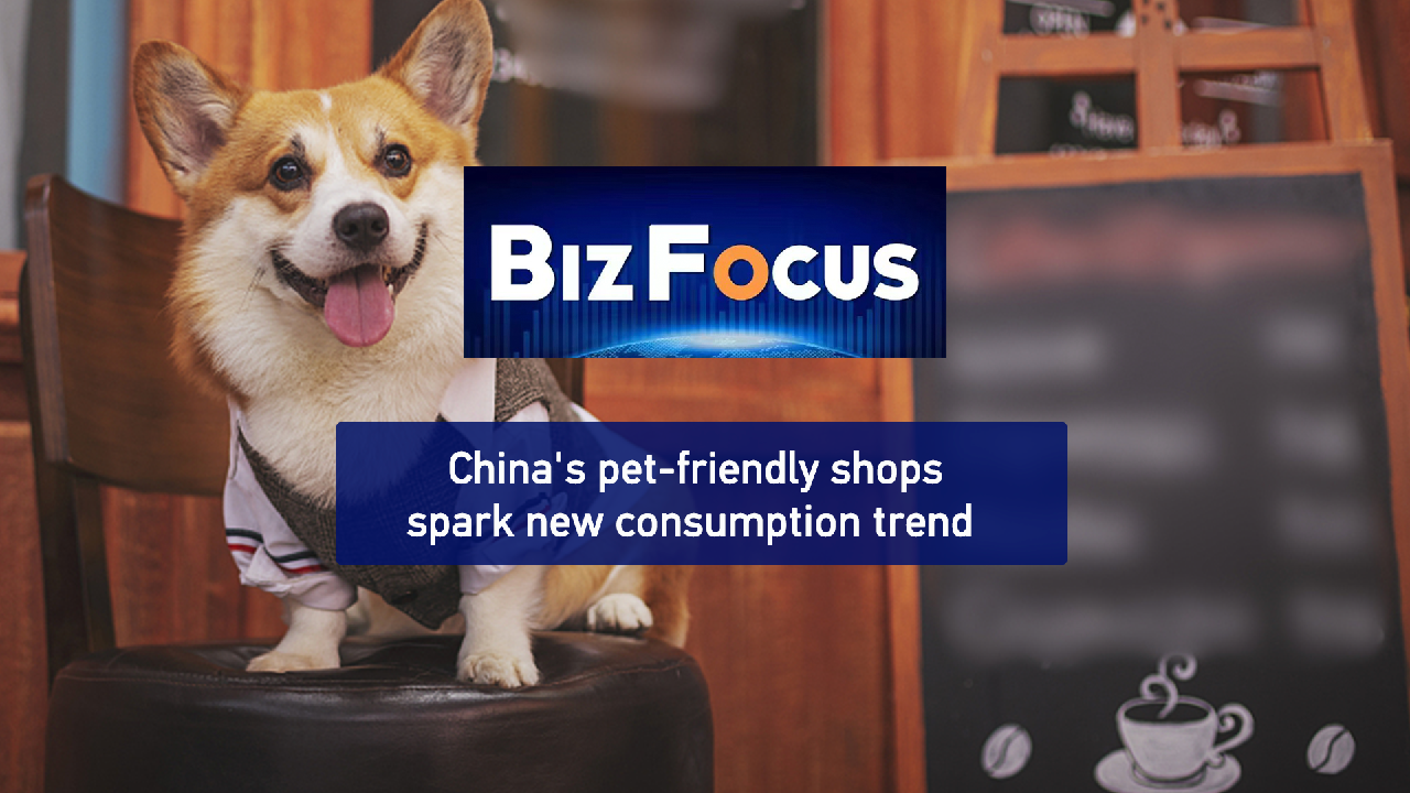 BizFocus Ep.42: China's pet-friendly shops spark consumption trend - CGTN BizFocus Ep.42: China's pet-friendly shops spark consumption trend - CGTN