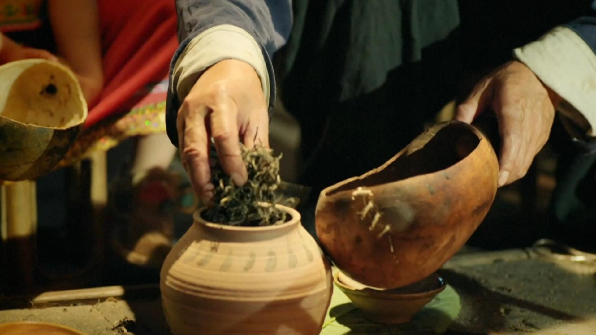 Ancient tea tree forest in Pu'er, a UNESCO World Heritage Site - CGTN