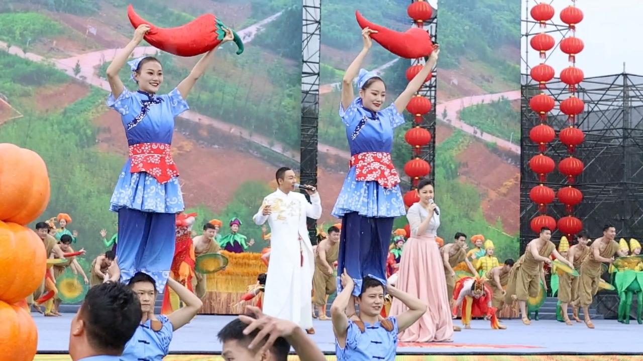 Bumper harvest celebrated in Wuhu, east China's Anhui - CGTN