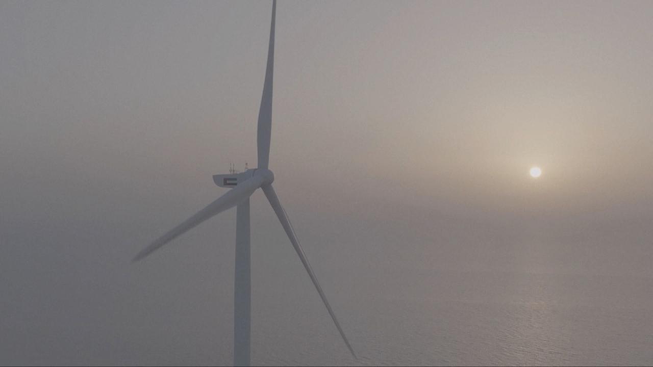 China-built wind power project facilitates energy transition in UAE - CGTN